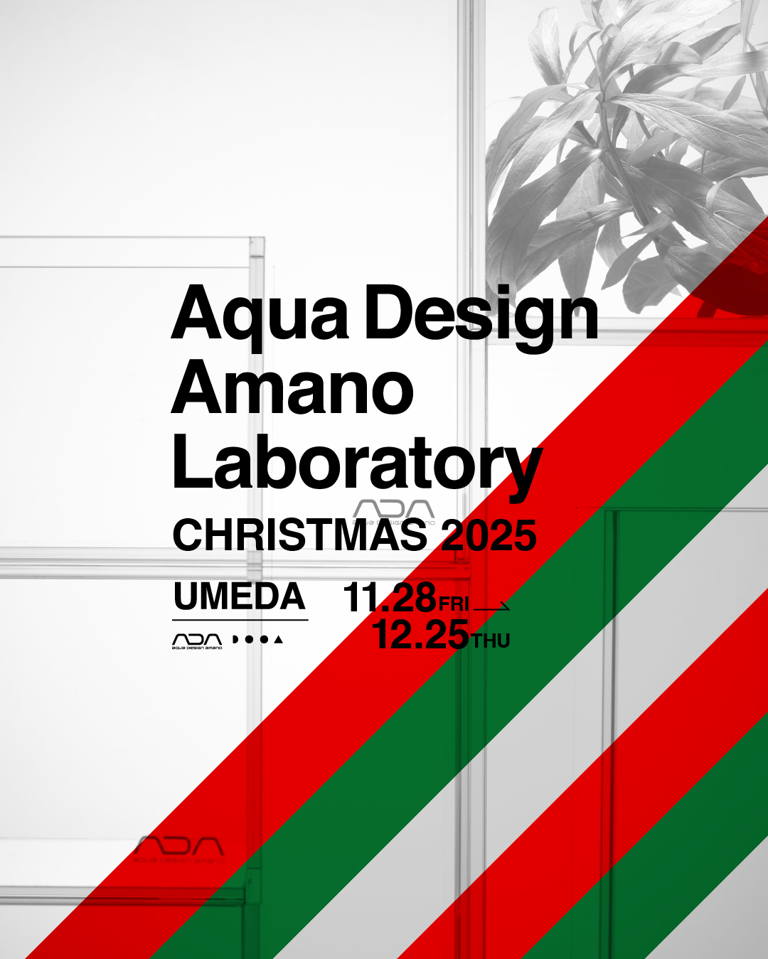 ADA LAB Christmas 2025 UMEDAがクリスマス限定ワークショップと無料ラッピングを実施し大阪梅田で水槽と植物のギフト需 – Leaf Laboratory（リーフラ）