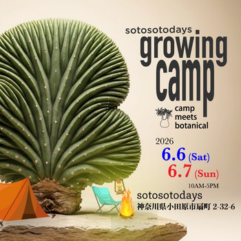 sotosotodaysがGROWING CAMP2026を開催、ビカクシダや塊根植物と個性派鉢を販売 – Leaf Laboratory（リーフラ）