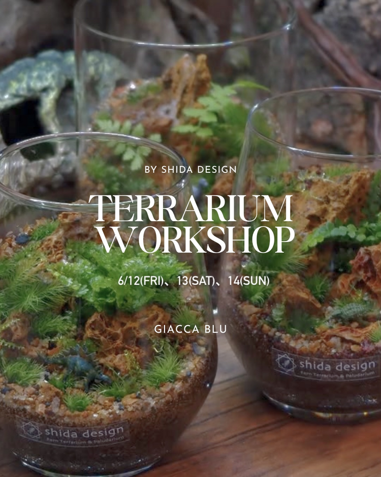 西宮阪急TERRARIUMWORKSHOPが開催、シダと苔で恐竜の太古の森を制作 – Leaf Laboratory（リーフラ）