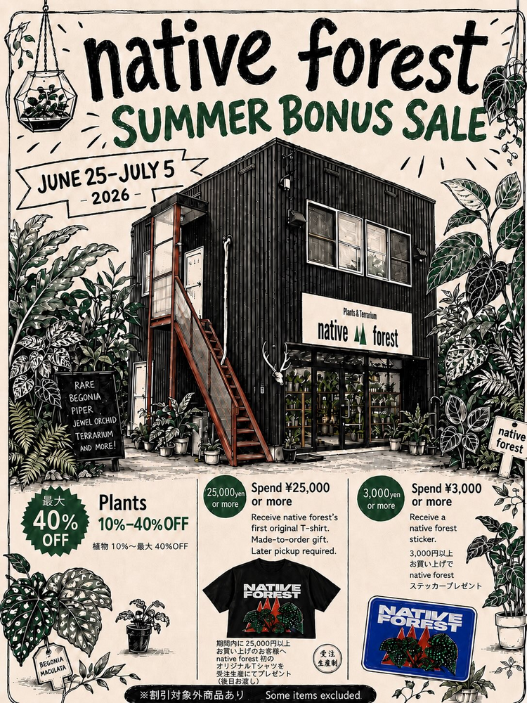 native forest SUMMER BONUS SALE2026が札幌で開催、ベゴニアやアンスリウムが特別価格に – Leaf ...