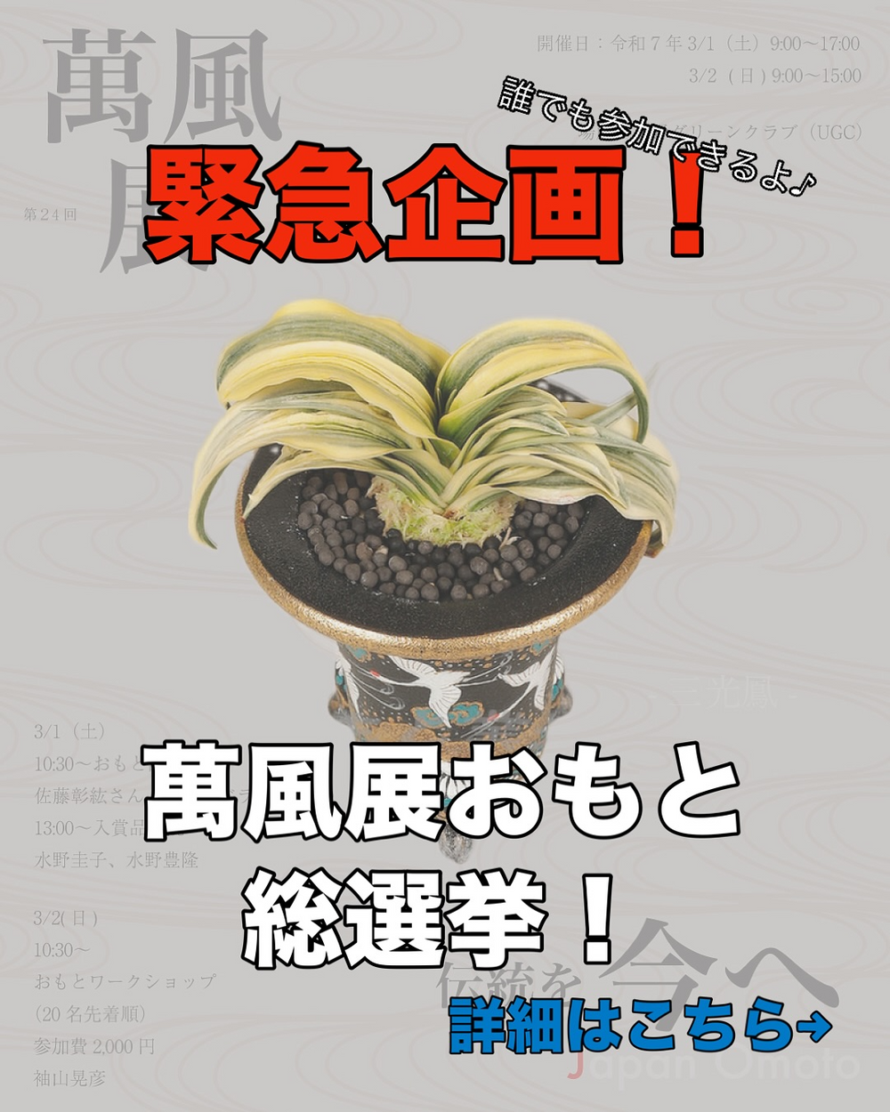 media – Page 2177 – Leaf Laboratory（リーフラ）